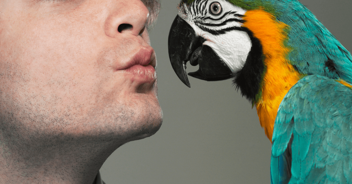 Teen's SIL Tried To 'Get Rid Of' His Beloved Macaw: AITA