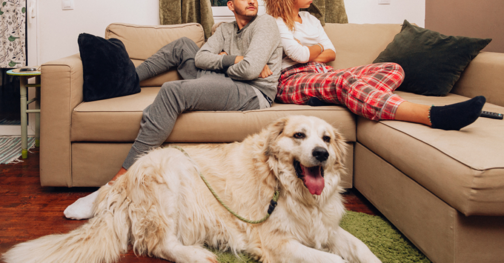 Woman Fed Up With Husband's 'Pedantic' Arguments: AITA