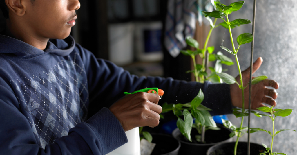 Redditor Cancels Trip After Stepson Waters Plants With Bleach Aita