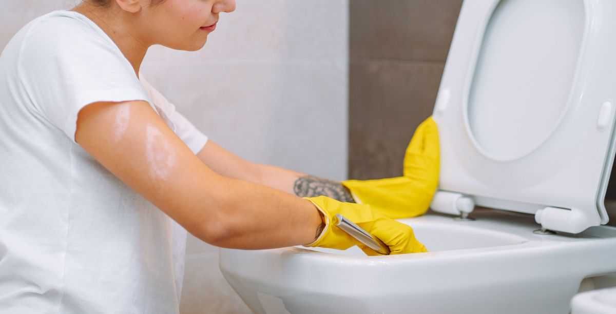 Redditor Wants Roomie's GF With IBS To Clean Toilet: REDDIT